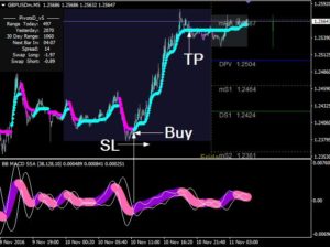 Forexpro Nitro System For MT4